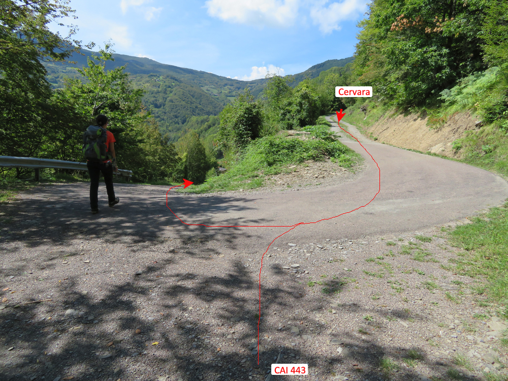 Escursionismo a 360°: Monte Cimone (da Canevare)