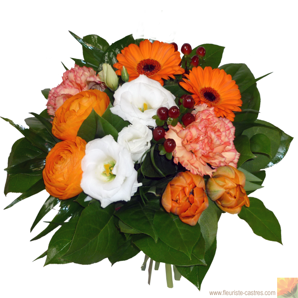 Fleuriste LA RIVIERA Castres