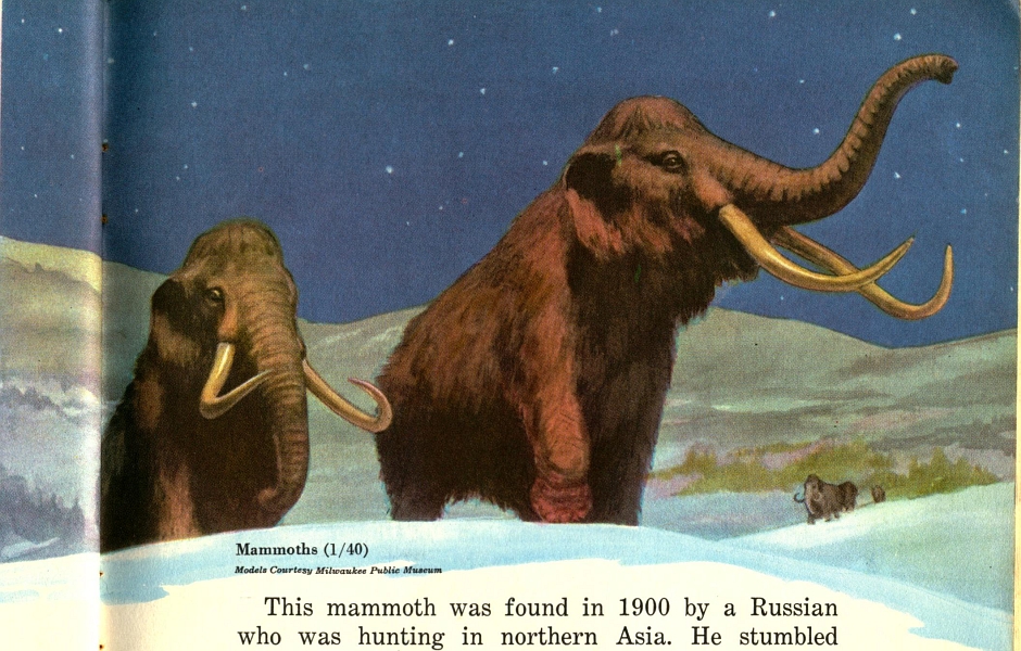 Love in the Time of Chasmosaurs: Vintage Dinosaur Art: Animals of Yesterday