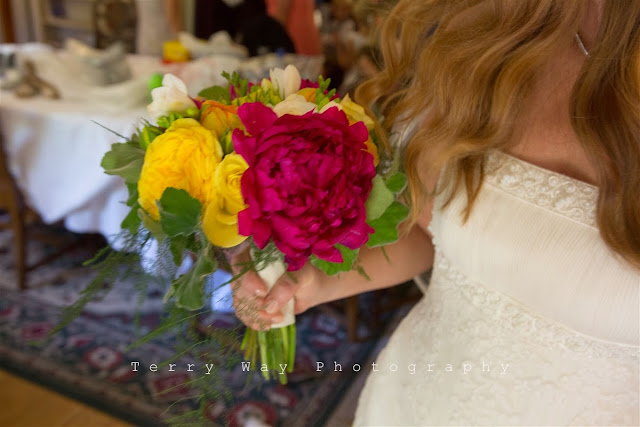Terry Way Photography Santa Cruz Photographer: Bargetto Winery Wedding ...