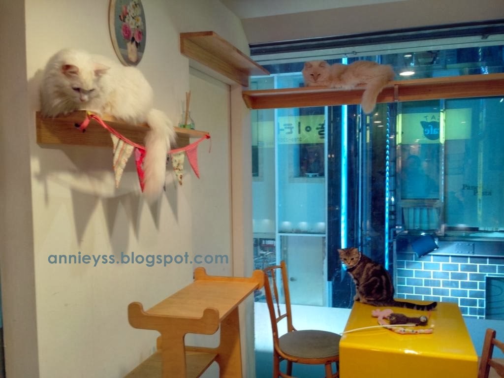 Saat Kau Sentuh Hatiku...: Minum Kopi Sambil Belai Kucing Di Cat Café ...