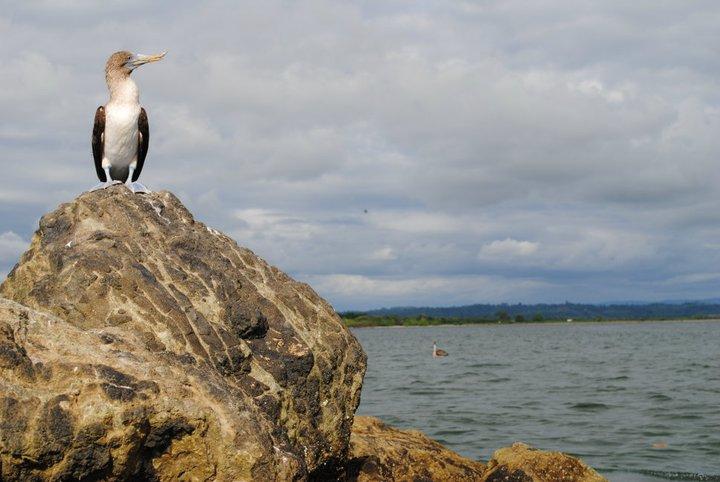 Playa de Cojimíes Manabí turismo aventura