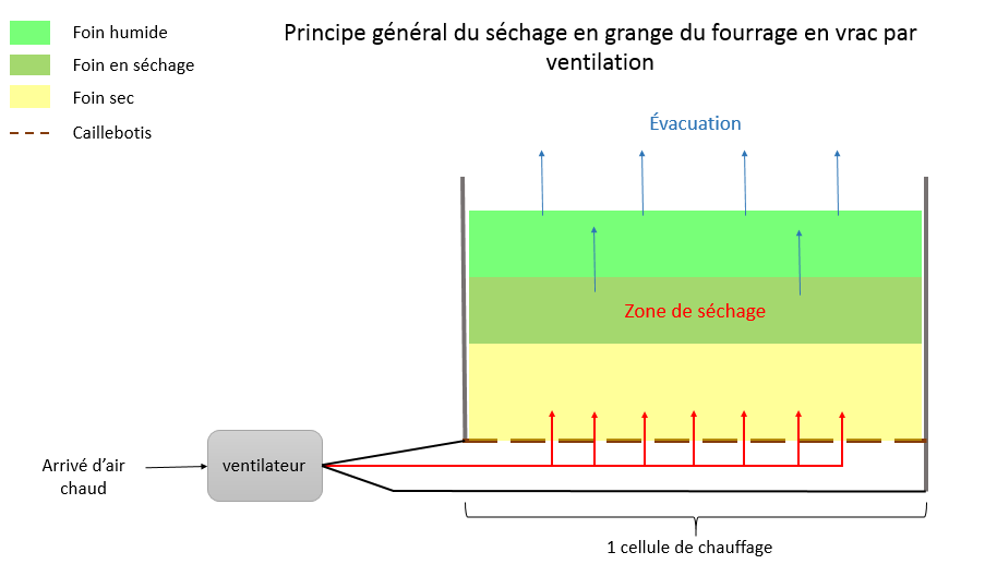La Jersiaise tombe à pix ! : Séchage en grange: " une technique ...