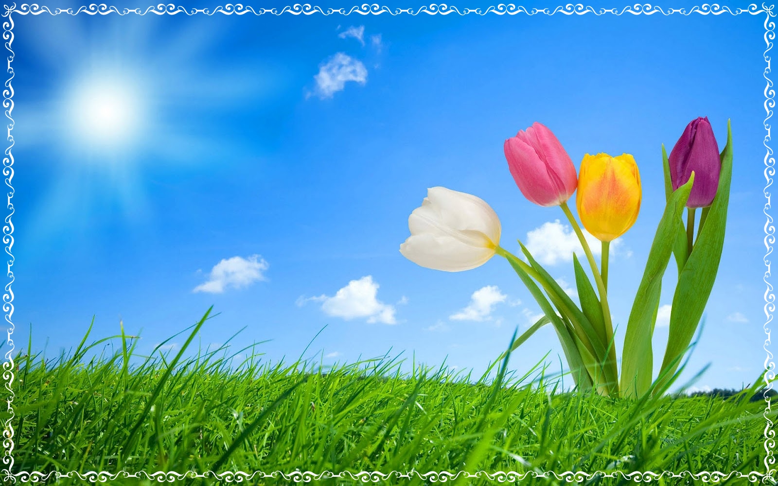 Cantinho Sandrinha S. S.: A Primavera