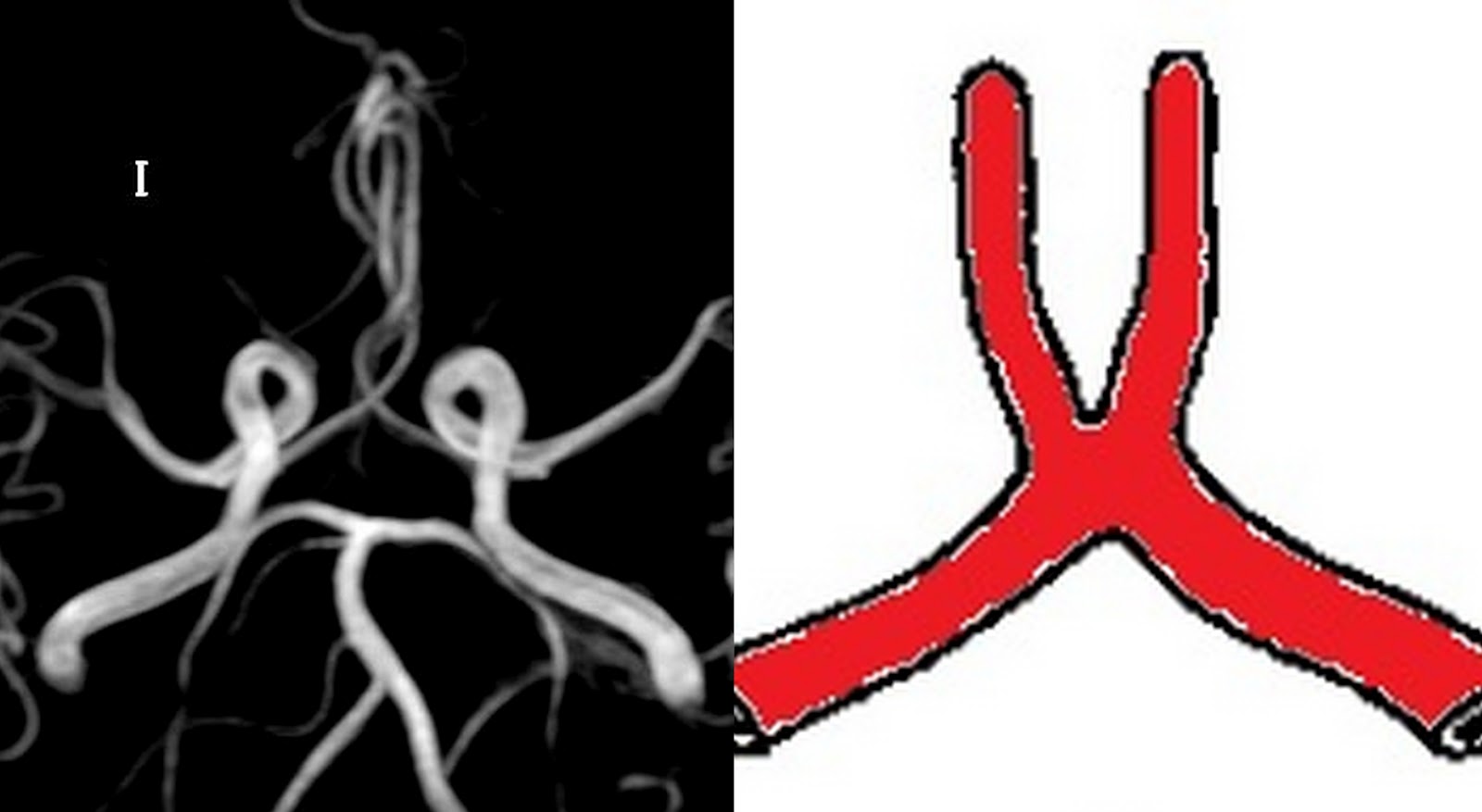 Dr Balaji Anvekar FRCR: 01/03/12 - 01/04/12