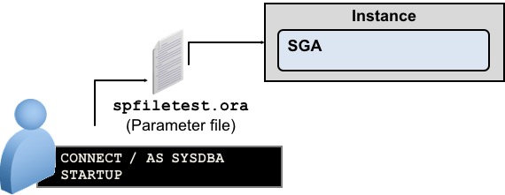 Database Info.: Parameter File