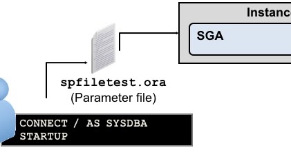 Database Info.: Parameter File
