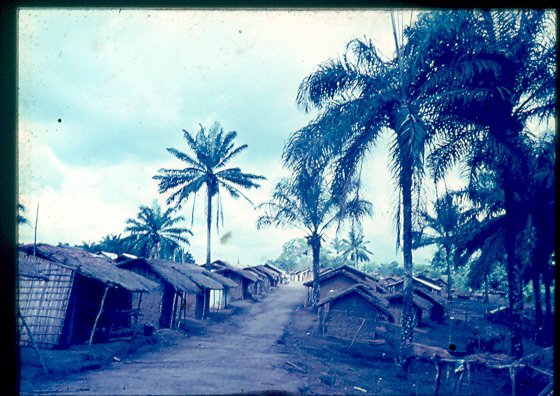 BCAC 2877 - Angola 1969 - 1971: Tomboco