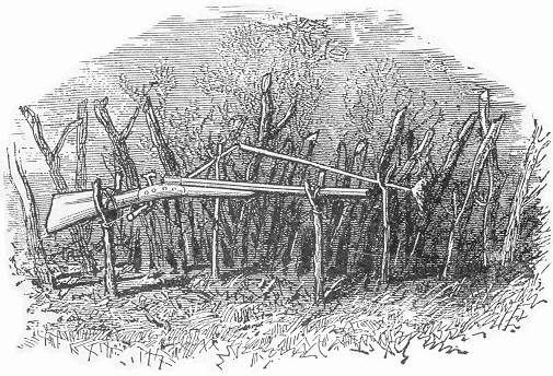 Drawing : Trapping and Framing