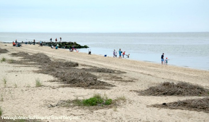 Pennsylvania & Beyond Travel Blog: Visiting HIGBEE Beach in Cape May