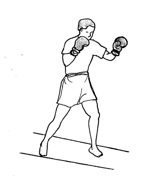 BOXEO: INTRODUCCIÓN