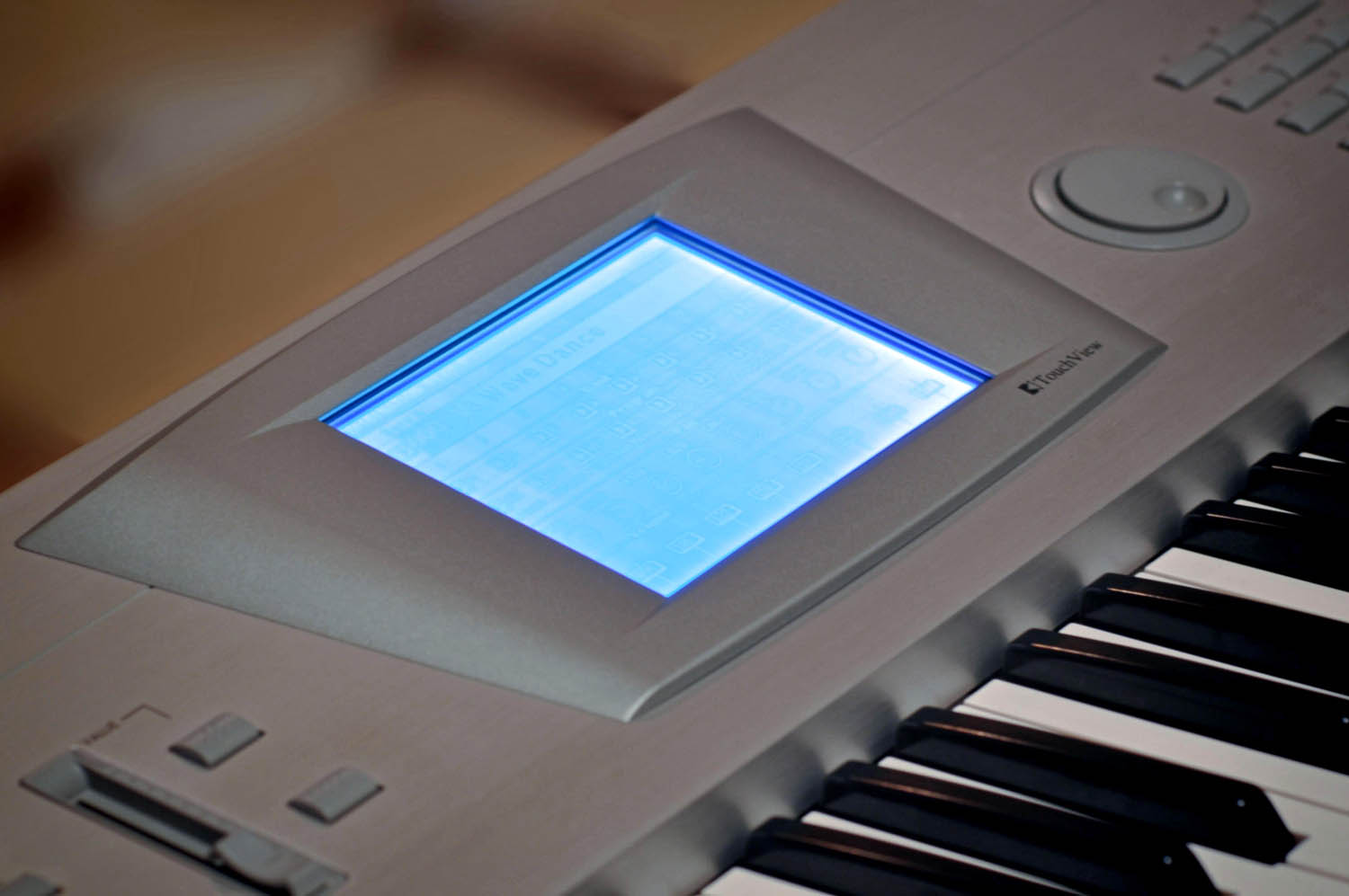 The William Salmela Project: KORG TRINITY series