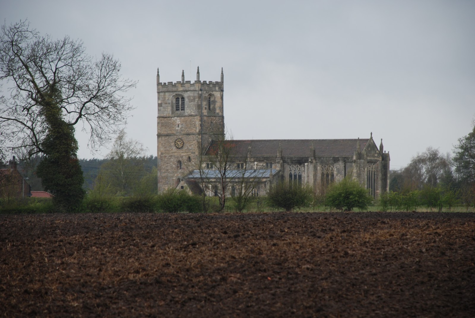 York Walks: Skipwith Common