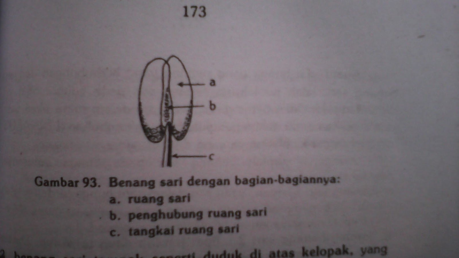Tugas: Morfologi Tumbuhan (Bunga)