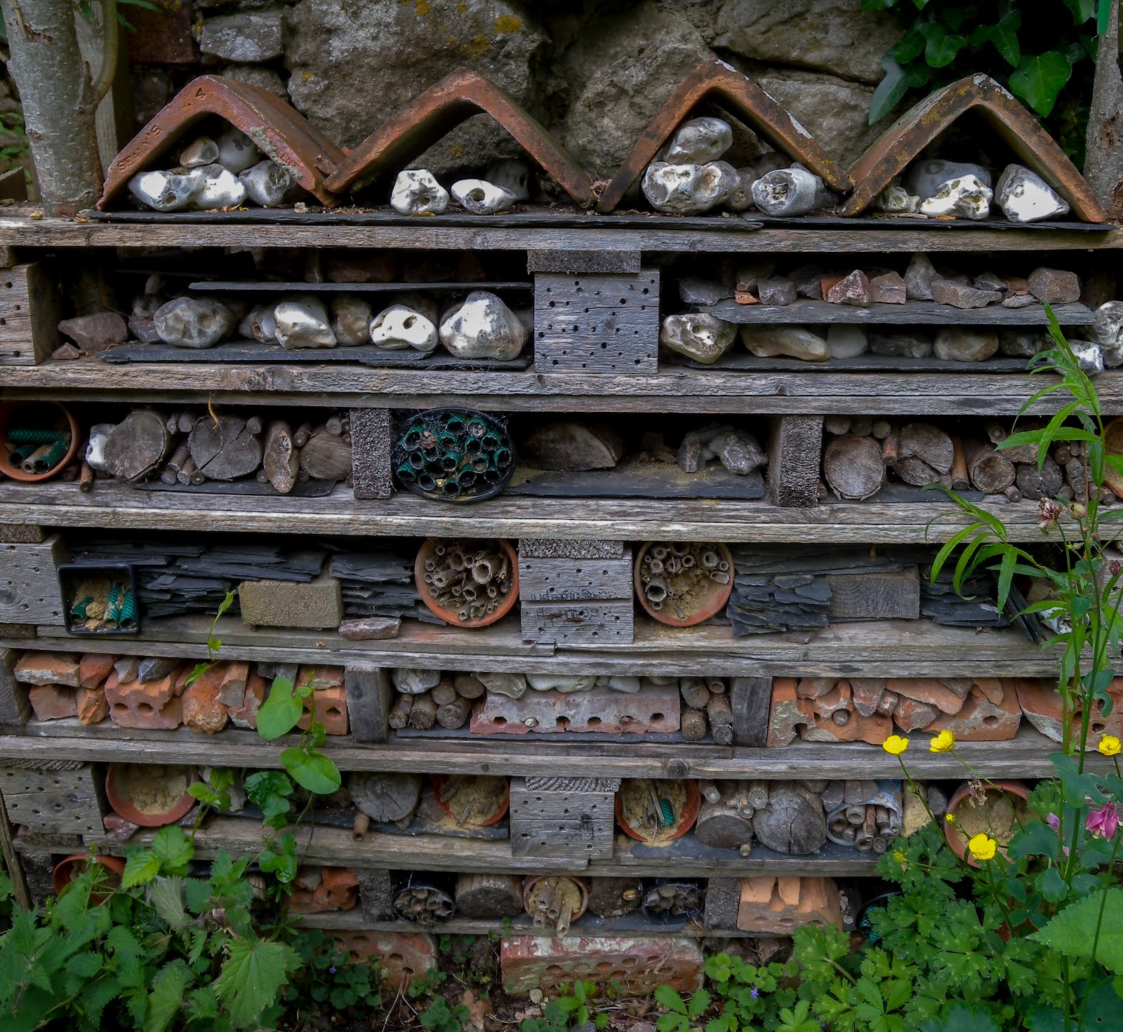 freeranger: Magdalen Farm