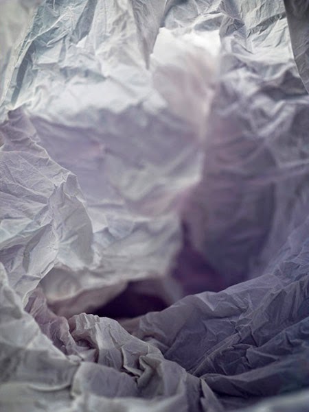 Vilde J. Rolfsen: Plastic Bag Landscapes - Área Visual