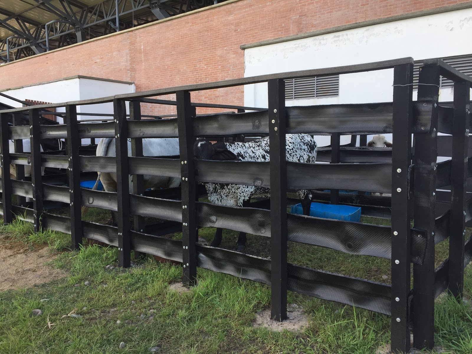 Corrales ganaderos fabricados con llantas son instalados en el Parque ...