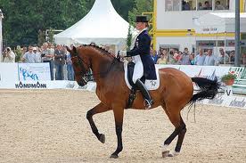 Sport : Reiten: Reitarten