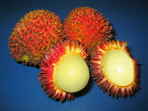 Papaleng Thoughts-Unplugged: 10 Exotic Spiky Fruits