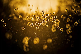 Alex Beatty: Inspiring Lighting Styles