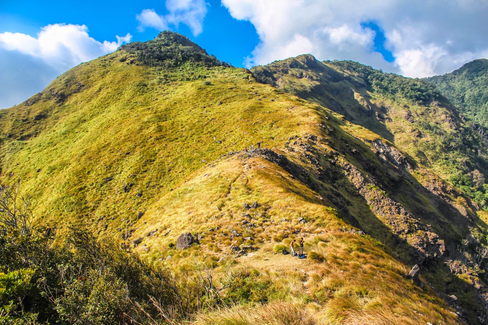 Wandering Den: Tarak Ridge | First Major Climb