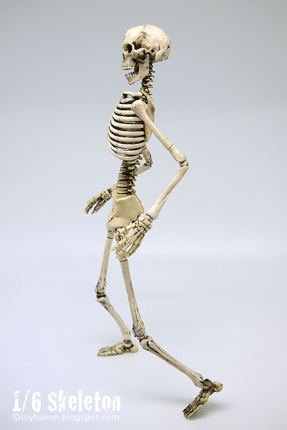 toyhaven: Review 1: Coo Model 1/6 scale Skeleton Soldier 12-inch figure ...