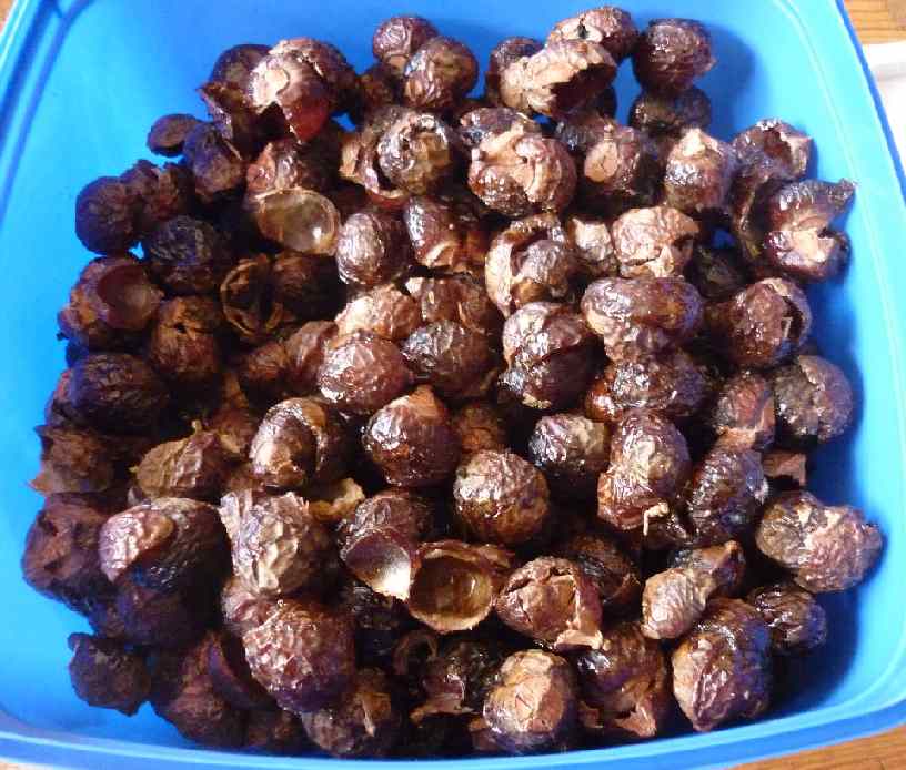 Simpleliving: Soap Nuts For Cleaning