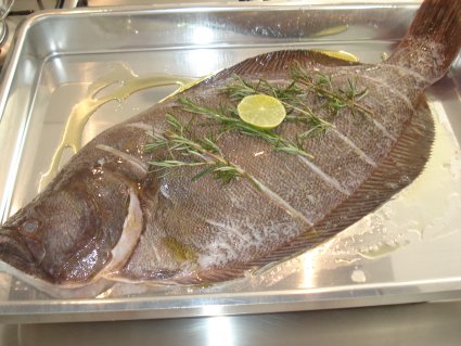 Conhecendo Santos e o Mundo: Peixes e Frutos do Mar