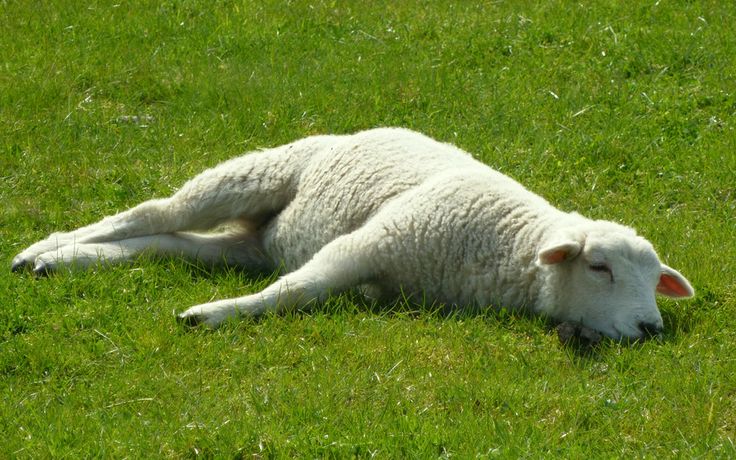 On Wings of Eagles: February 2016