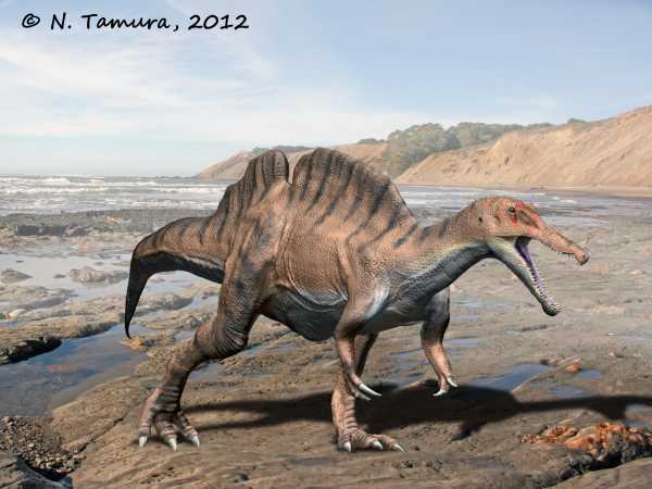 Spinops: Sinophoneus yumenensis