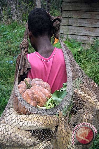 Indonesian Handicrafts: Noken Bag From Papua Nugini