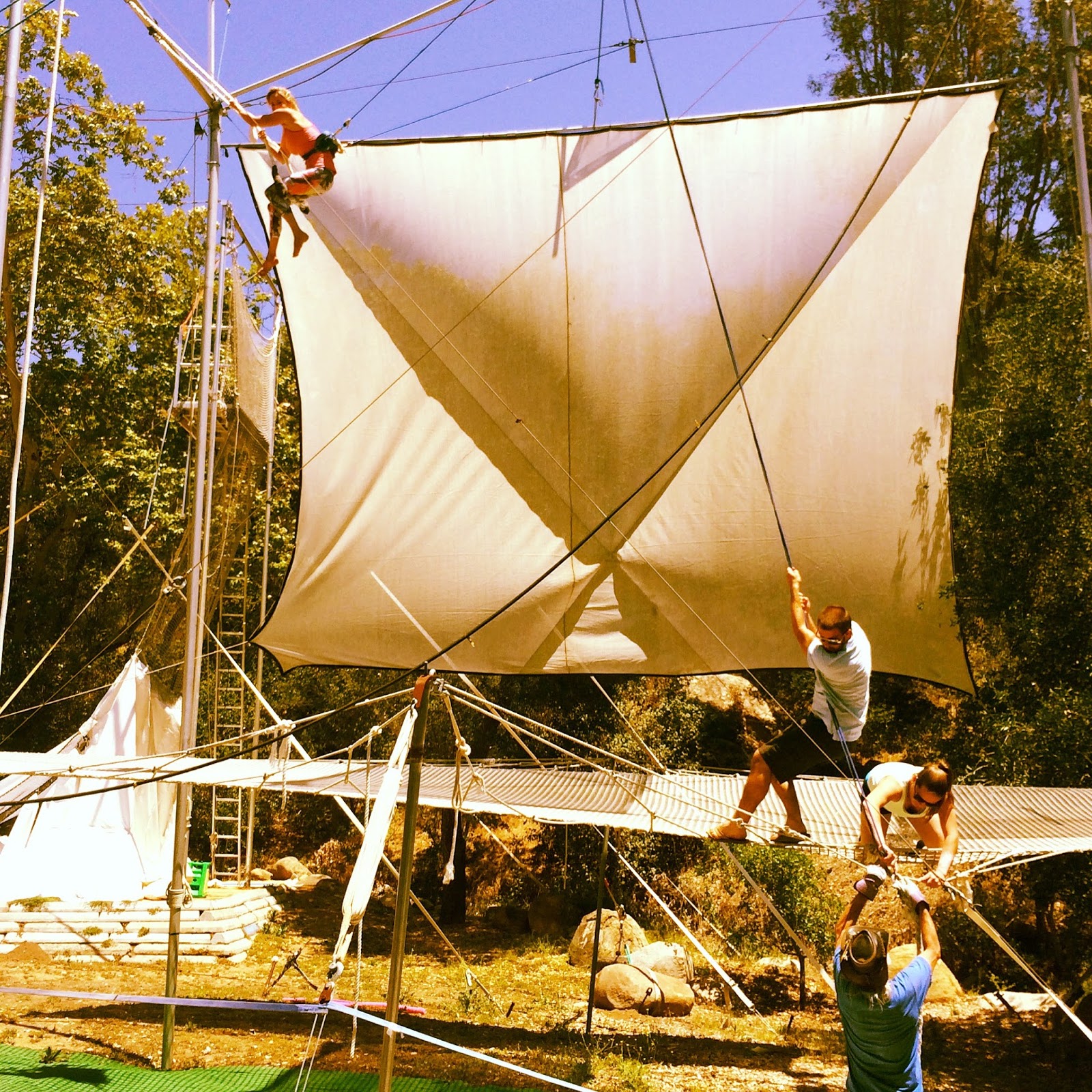 Sensory Overload: Flying Trapeze - Catch Trap Backflips