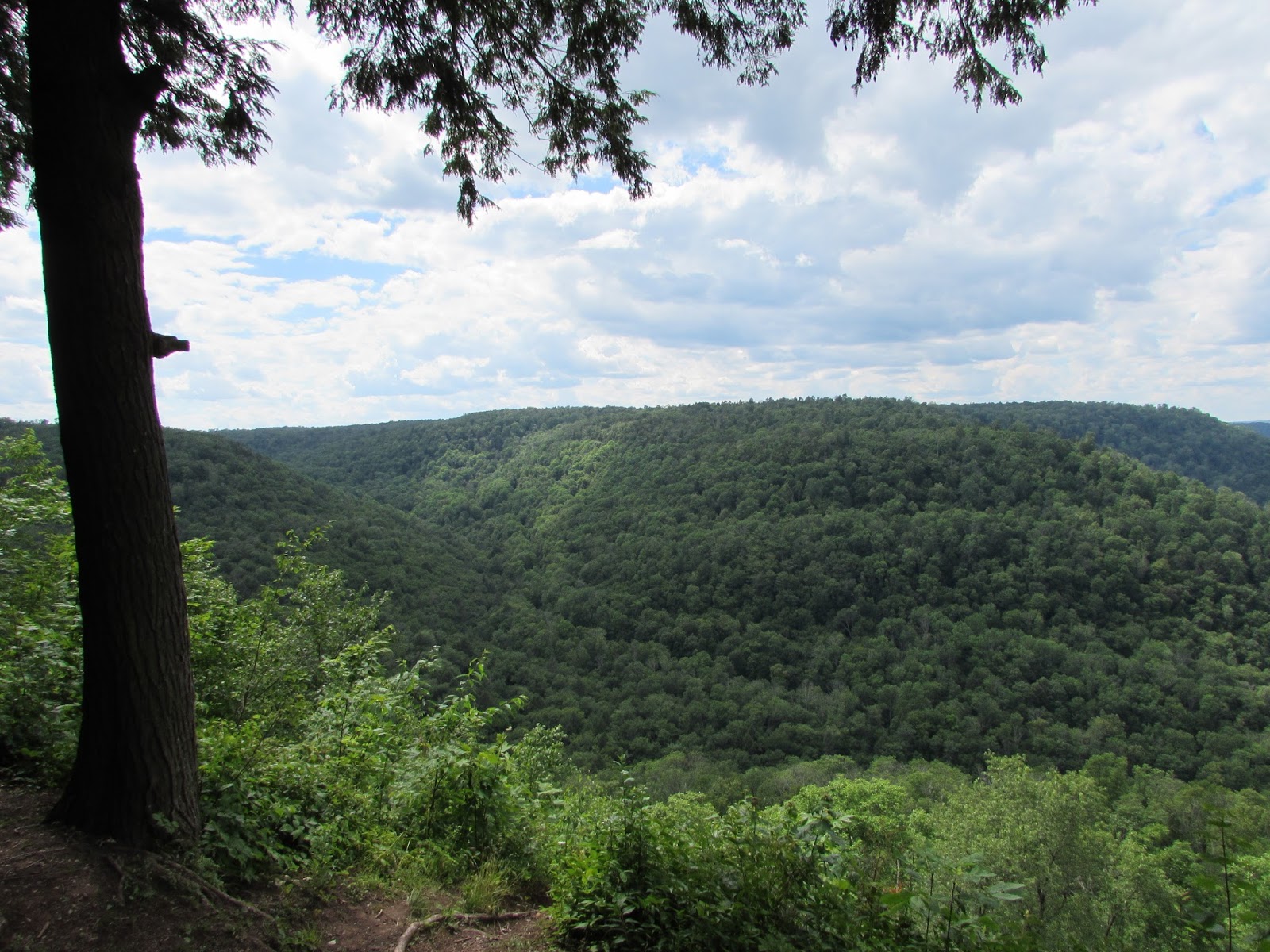 Worlds End State Park: Canyon Vista, Forksville Covered Bridge ...