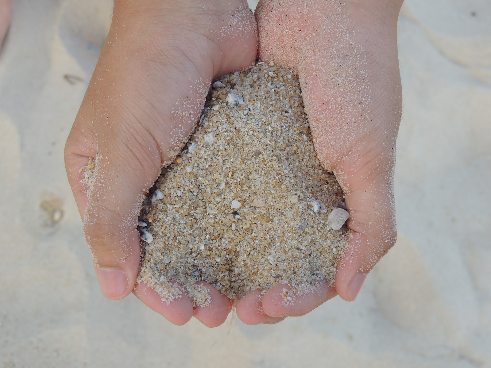 Geography: Beach Nourishment