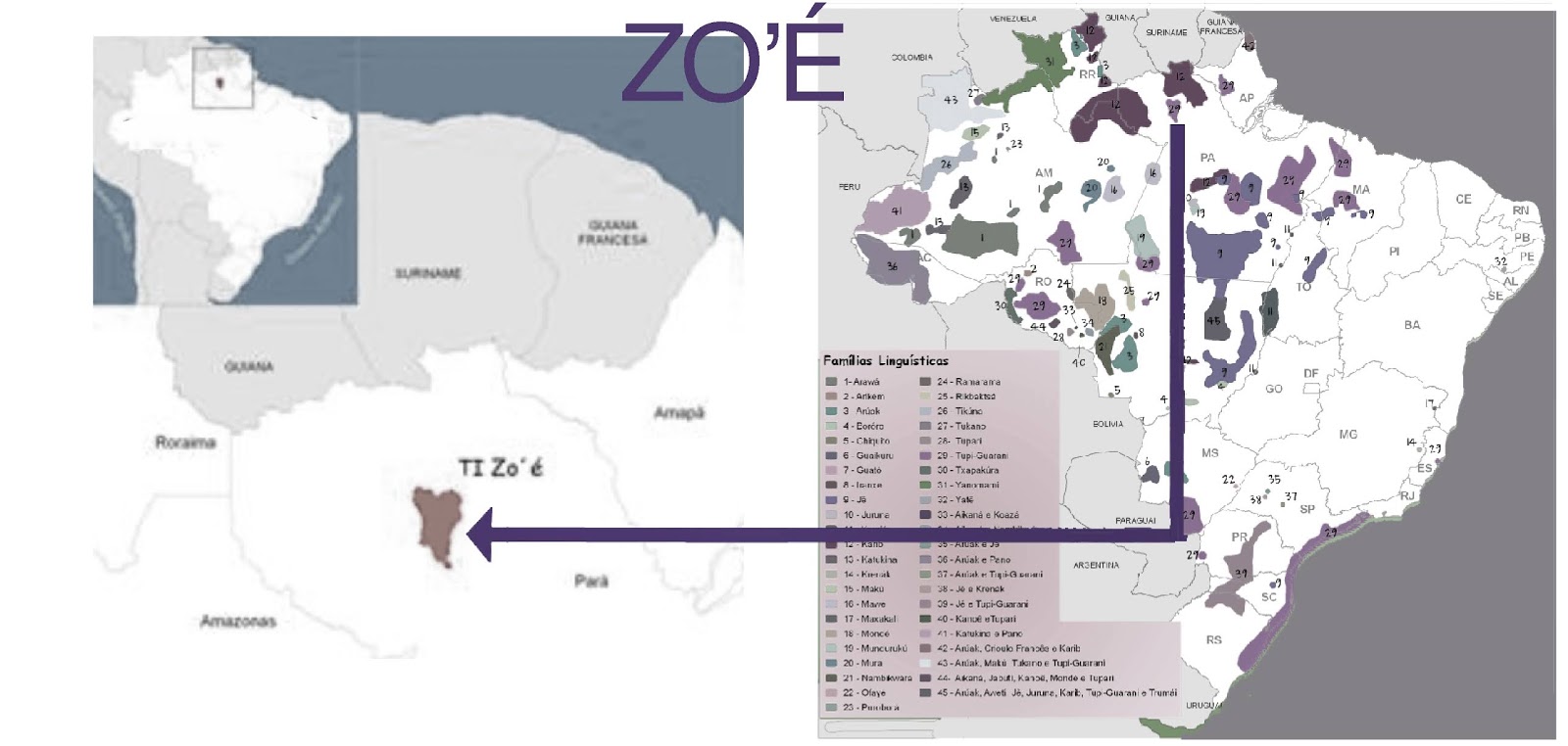 Povos Indígenas Brasileiros: Zo'é