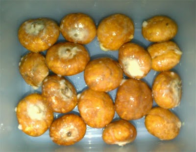 Buah Eksotik Buah Kalangkala