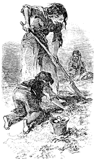The archaeology of the Great Famine: time for a beginning?