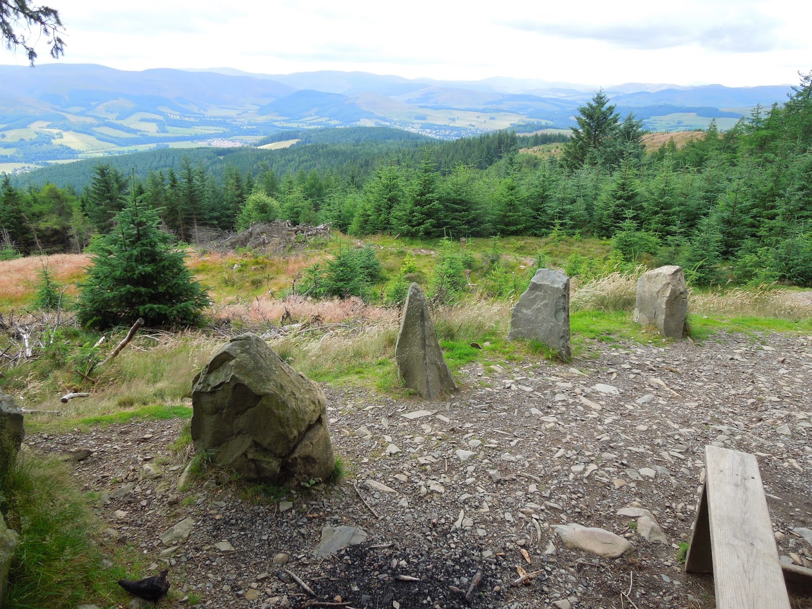 MTB Innerwick Stravaiger: 7 Stanes 'Glentress'
