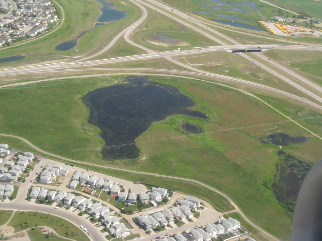 Scientist, Artist, Fulbright Scholar: Consequences of Exurban Sprawl