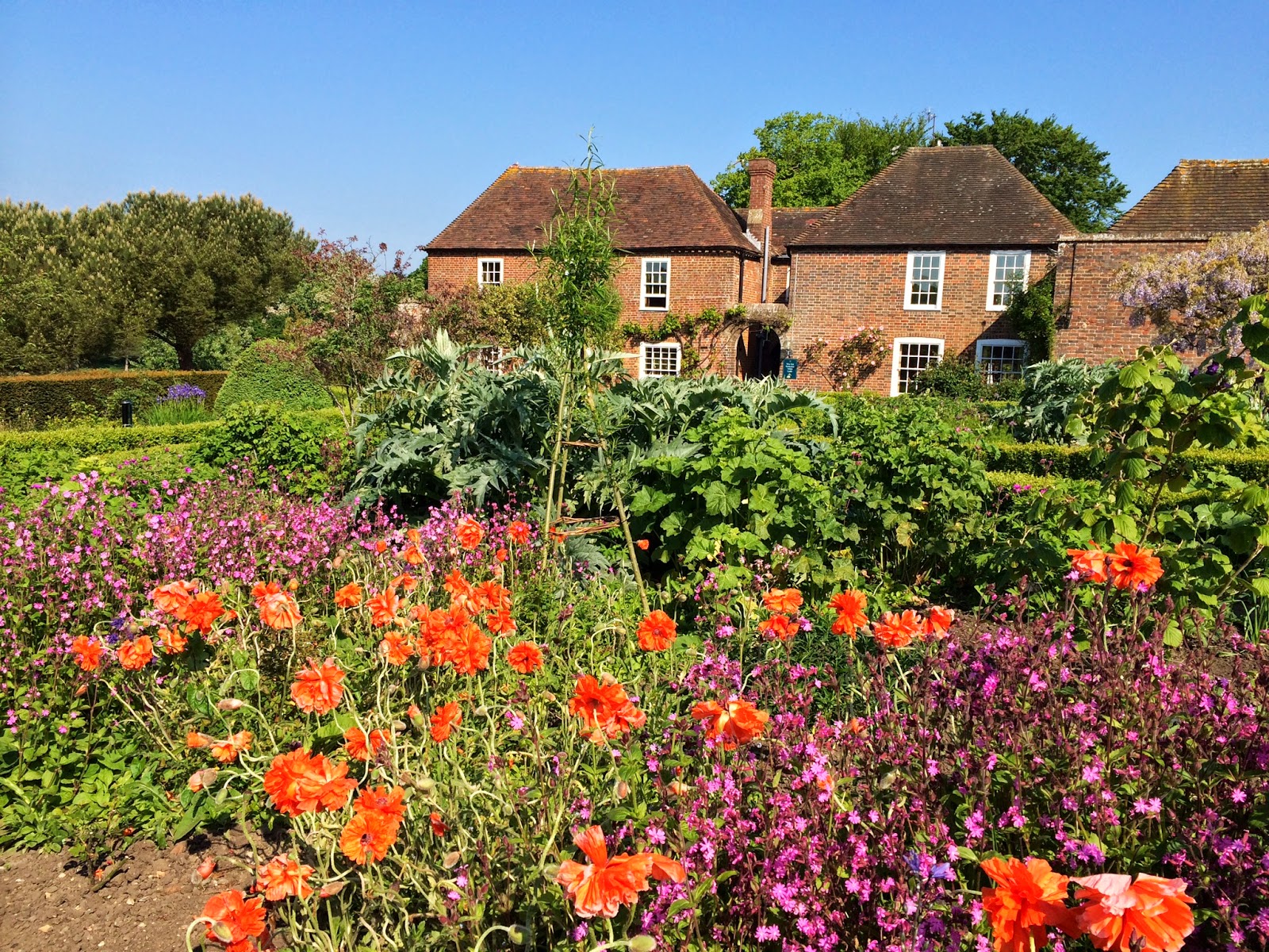 Leeds Castle Blog: Flower Power at Leeds Castle