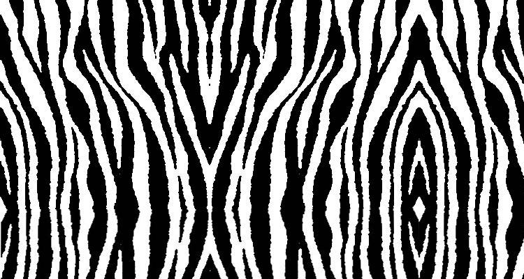 Fondo pantalla zebra - Imagui