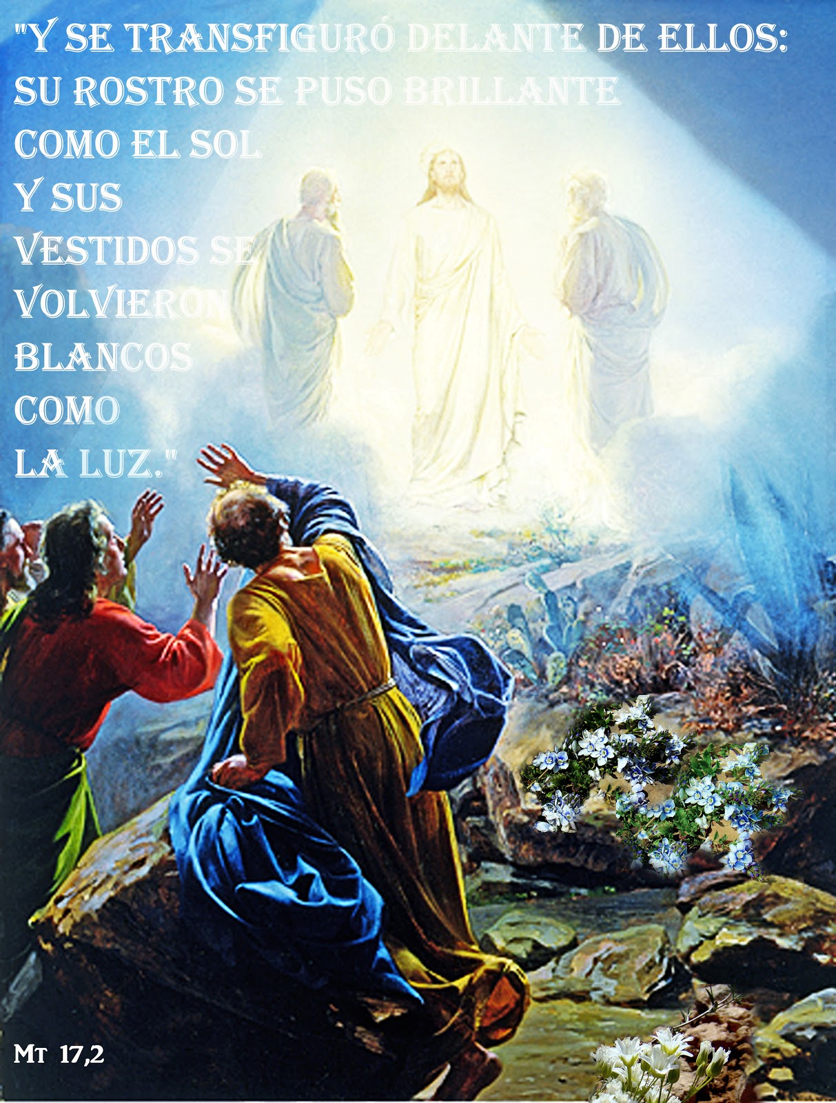 EVANGELIO DE MATEO: "SE TRANSFIGURÓ" Mt 17, 2