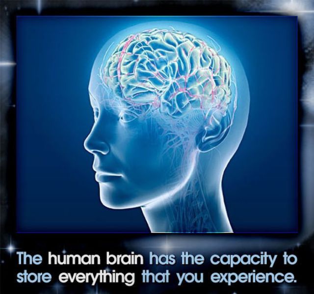 Did You Know These Fun Facts - Up Your General Knowledge - Have A Fun ...