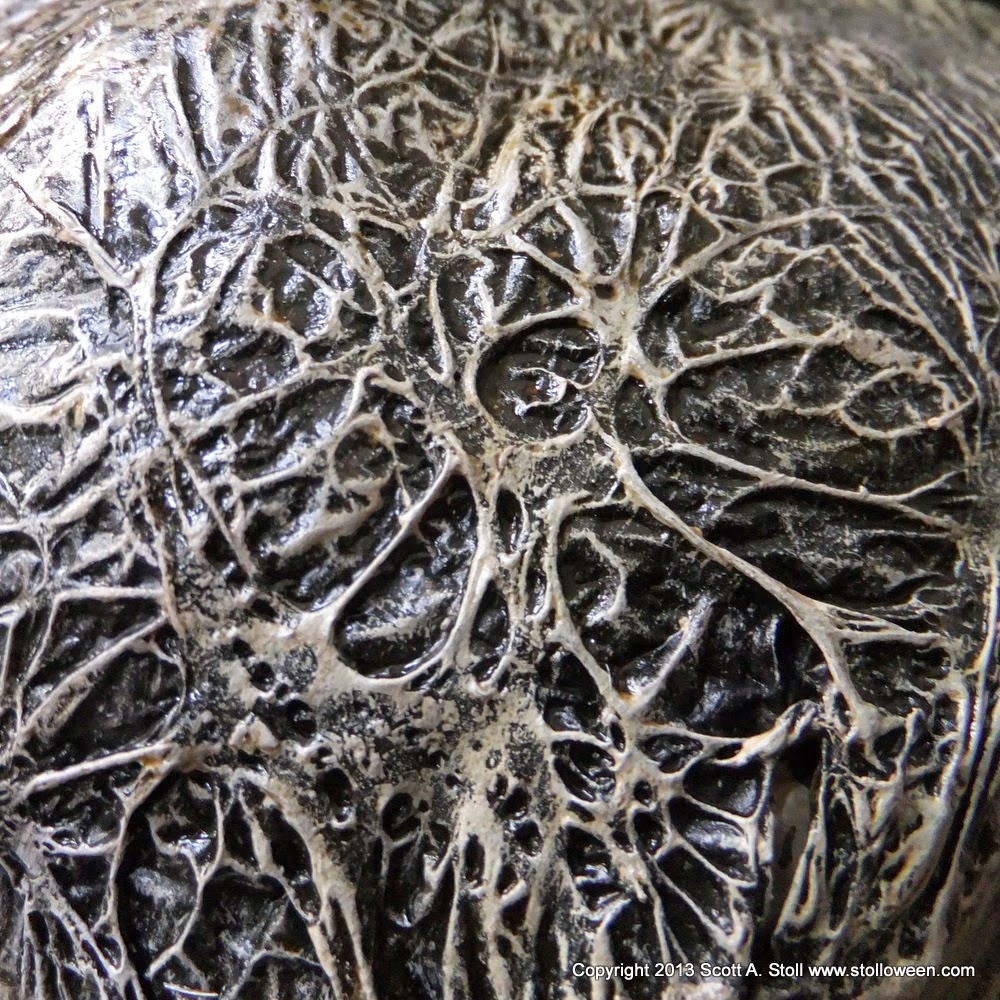 Scotty ART: Zombie Texture by Design