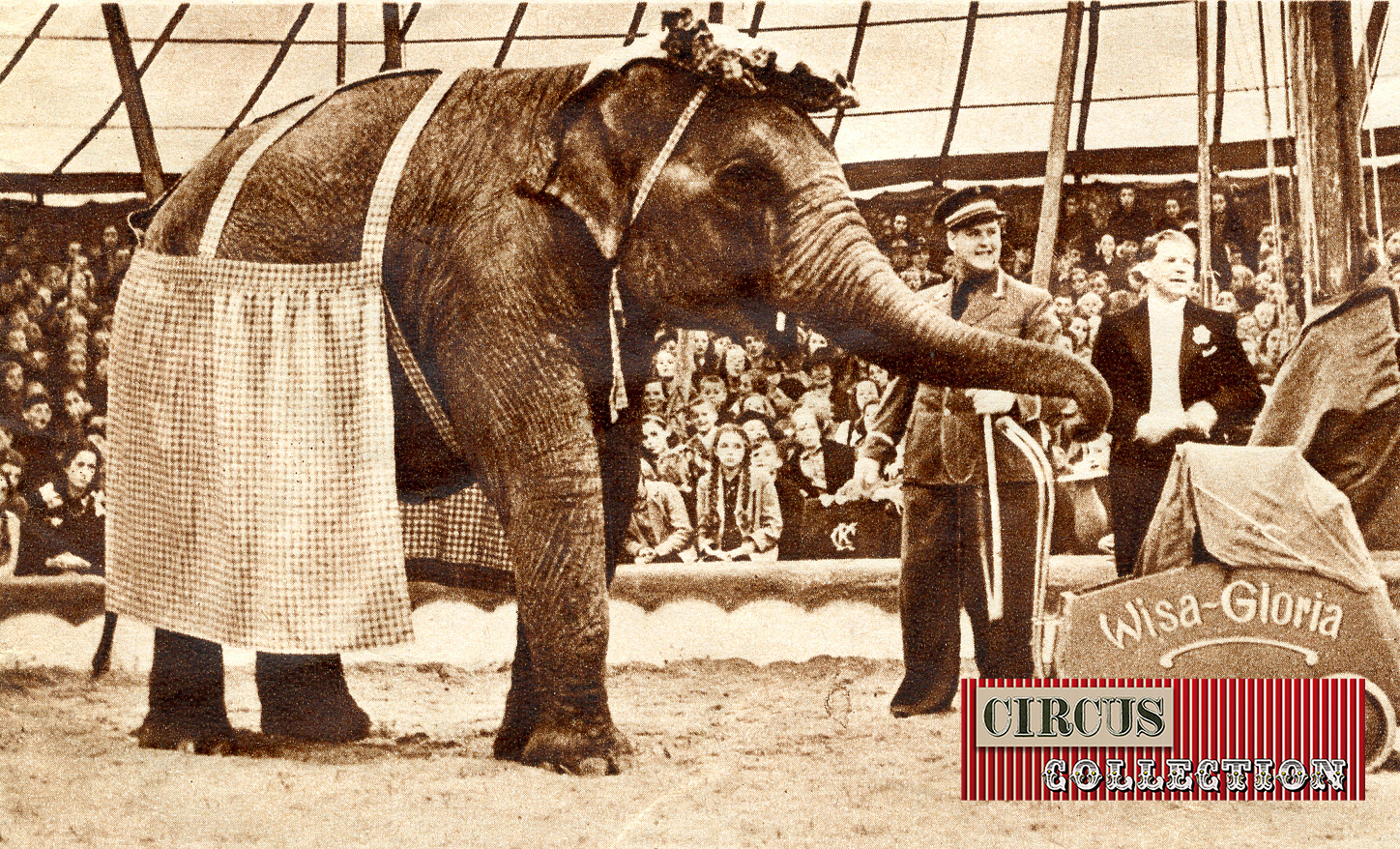 Circus -Collection: Les éléphants au cirque Knie 1940-1949