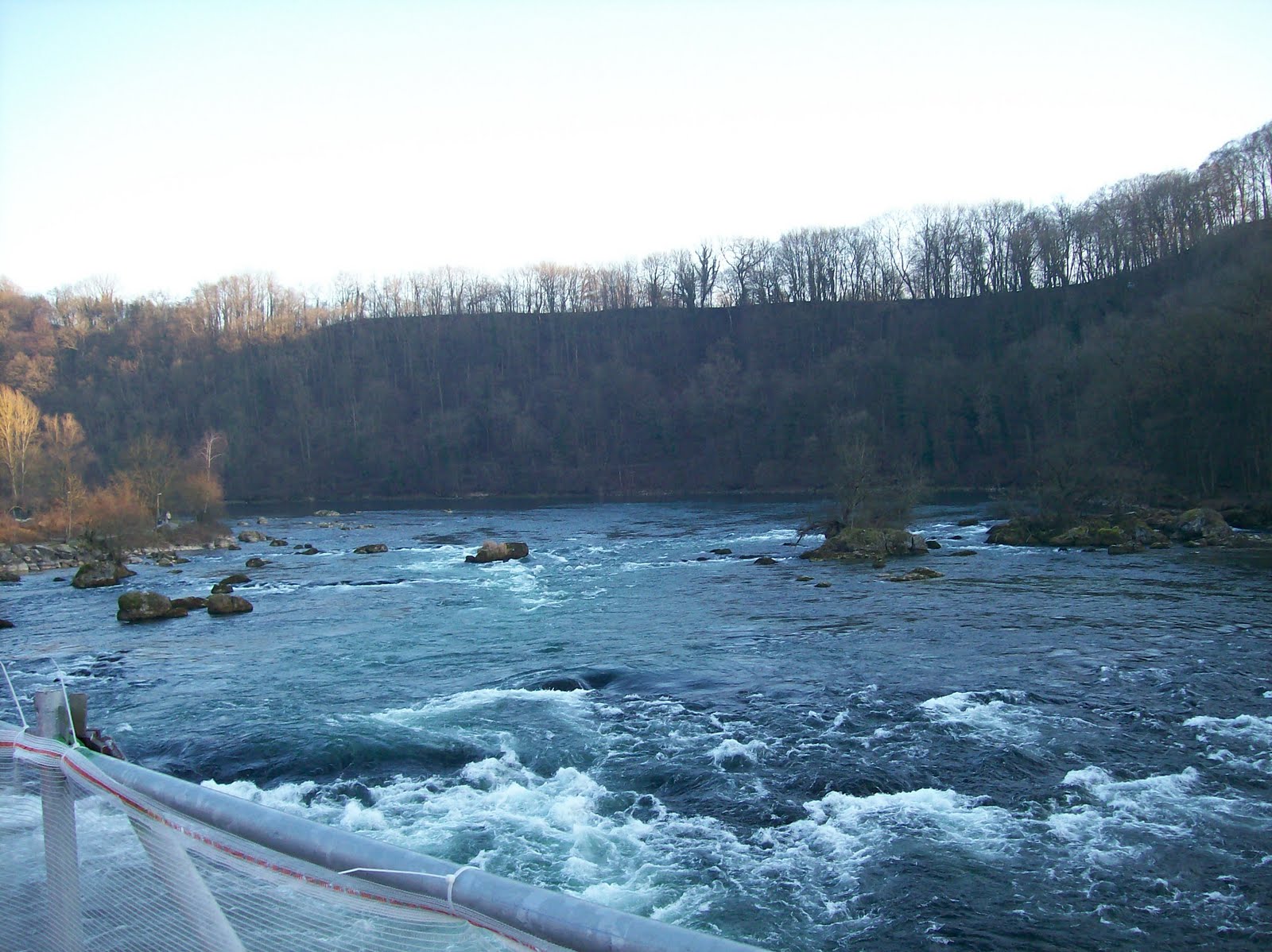 blueroses: august 2011