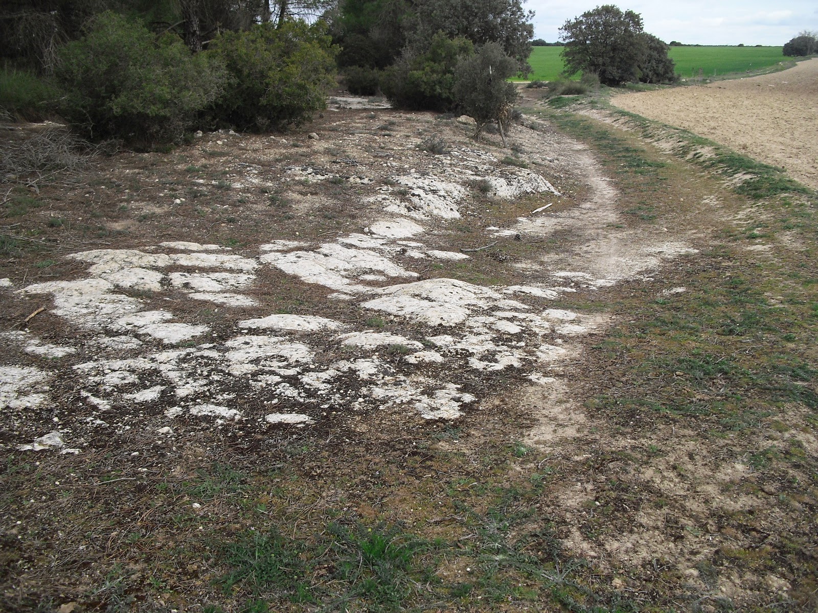 abril 2015 ~ 40 rutas