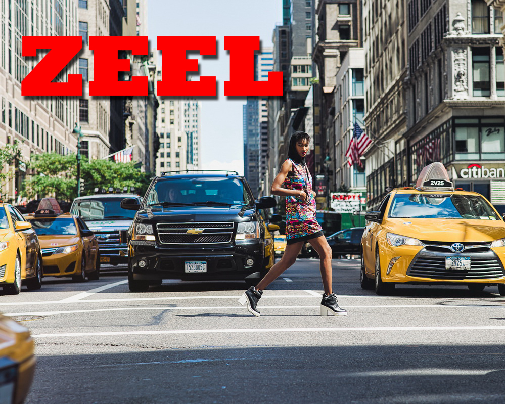 Zeel Pakistan: Zeel Pakistan