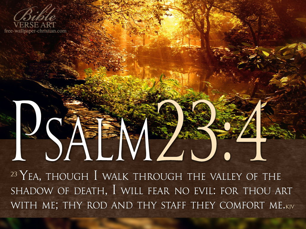 The Maze of Our Lives: Feeling Overwhelmed? Read Psalm 23