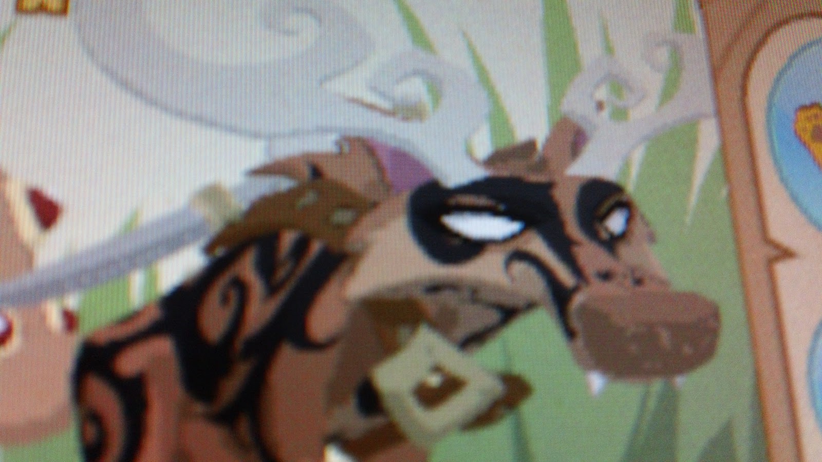 Animal Jam Is Kool: I MET SNOWYCLAW!!!!!!!!!!!!!!!!!!!!!!!!!!:D